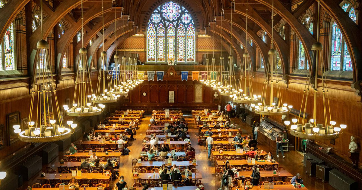 Ivy League College Admissions Consultants | IvySummit College Counseling